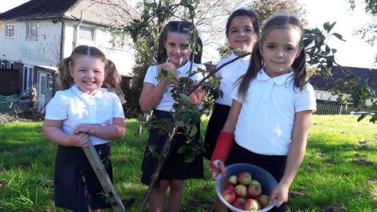 Education - Grow Cardiff